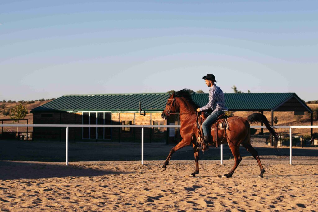 Essential Care Tips for Healthy Guide Horses